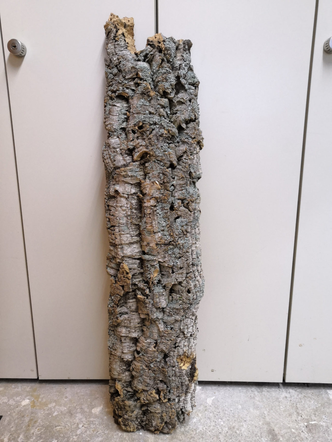 Liège brut | A Fleur de Liège