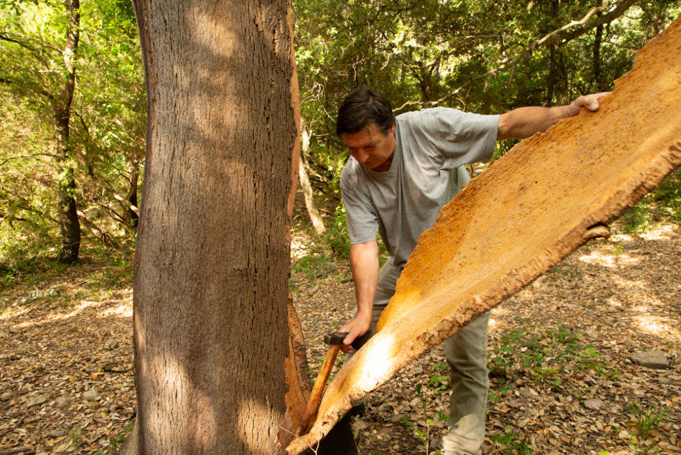 Liège brut | A Fleur de Liège