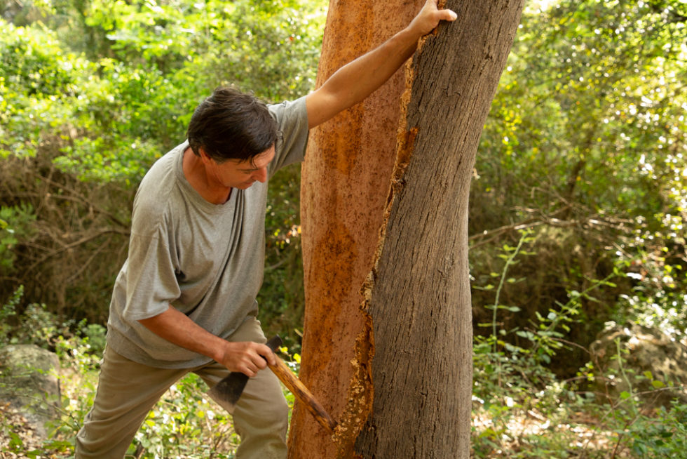 Liège brut | A Fleur de Liège