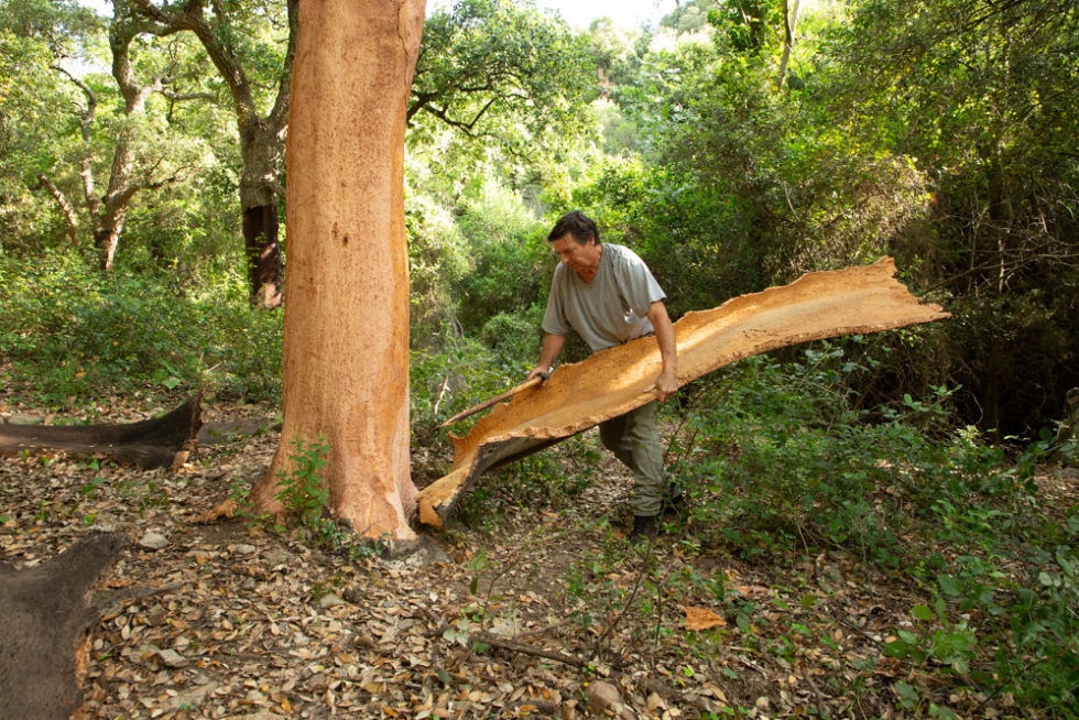 Liège brut | A Fleur de Liège